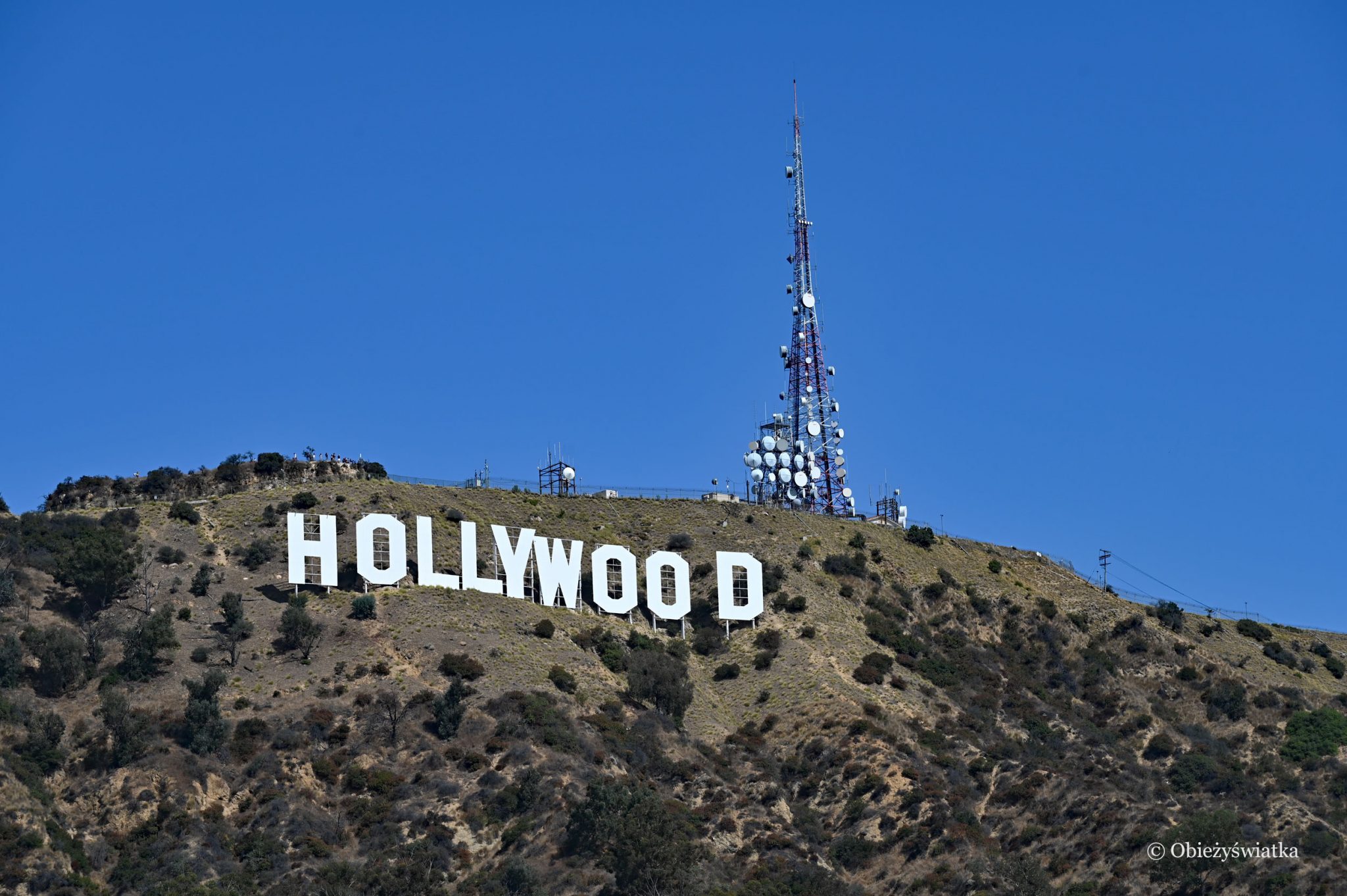 Mount Lee Hollywood Sign – The Iconic Wisdom Tree & Hollywood Sign Hike ...