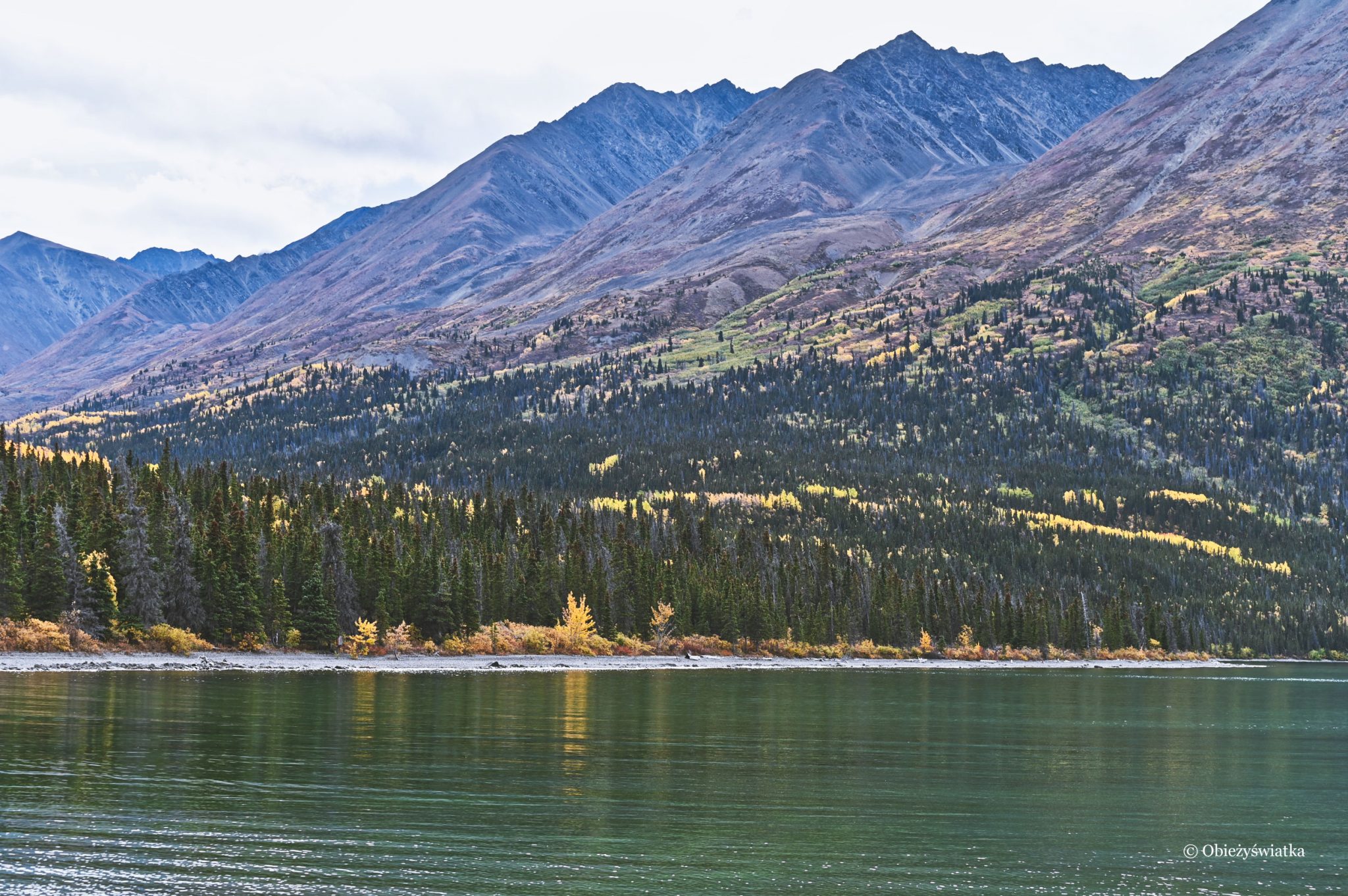 Kluane – w parku narodowym najwyższych gór Kanady - Zapiski Obieżyświatki