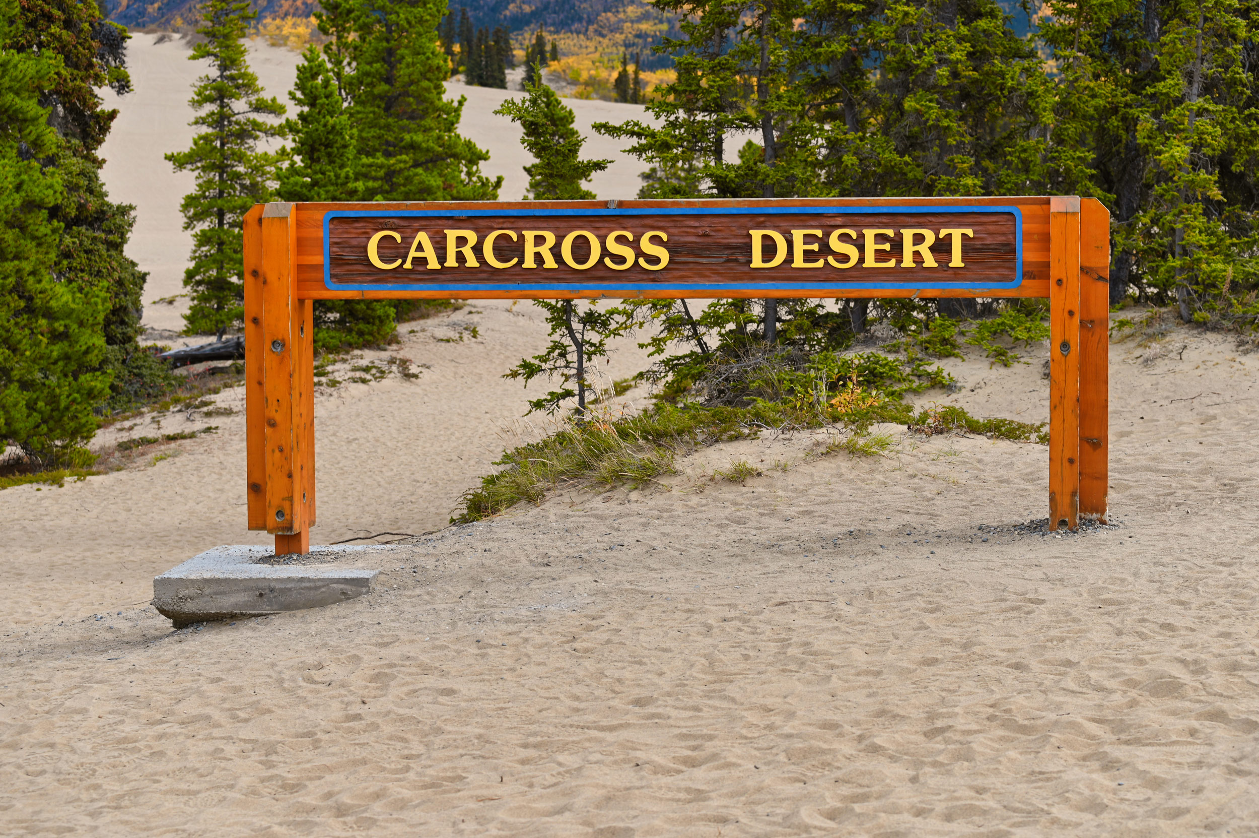 Carcross Desert - Zapiski Obieżyświatki